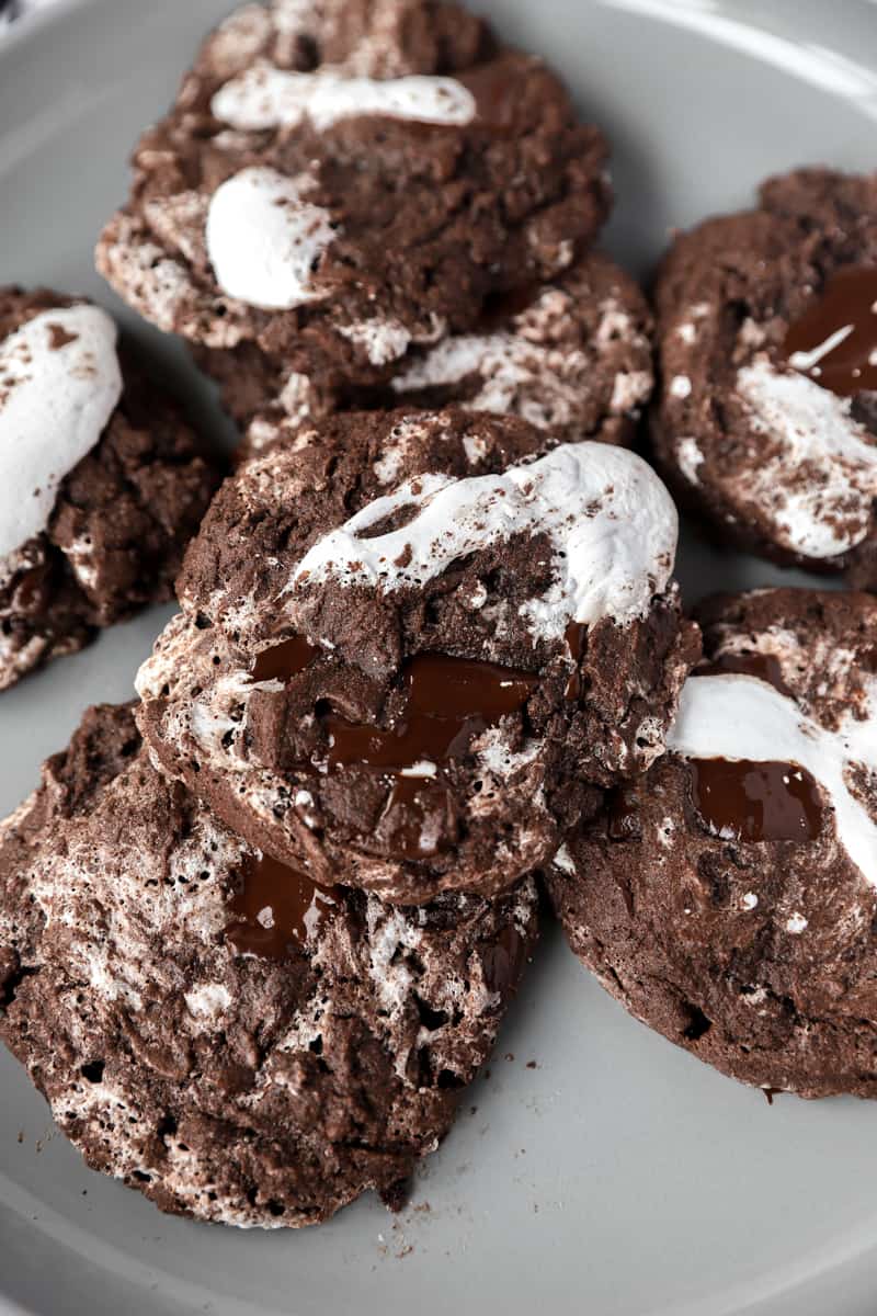 Hot Cocoa Cookies - A Seasoned Greeting